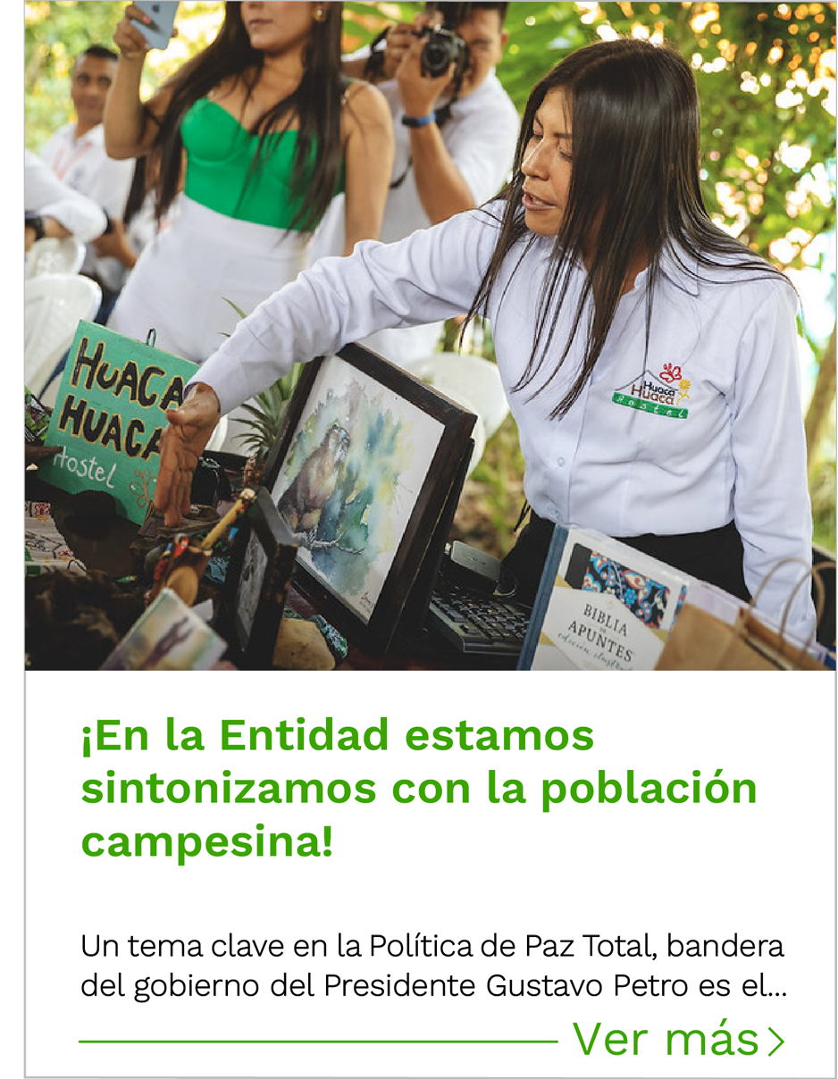 News_120 - Todas las imágenes
